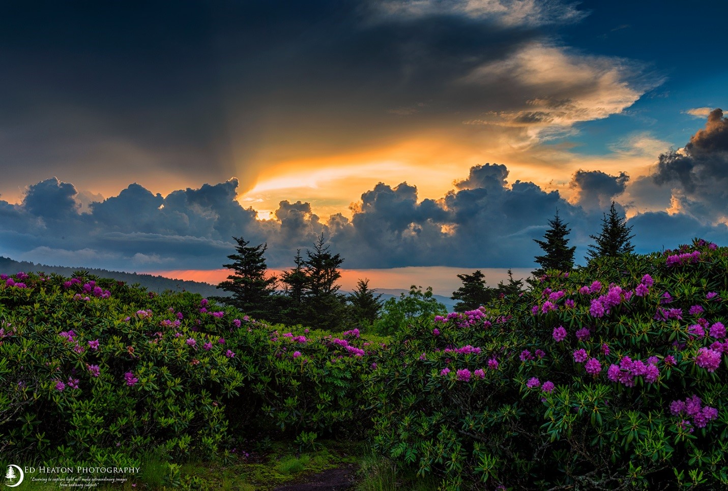 Learning to Capture Light will make Extraordinary Images from Ordinary ...