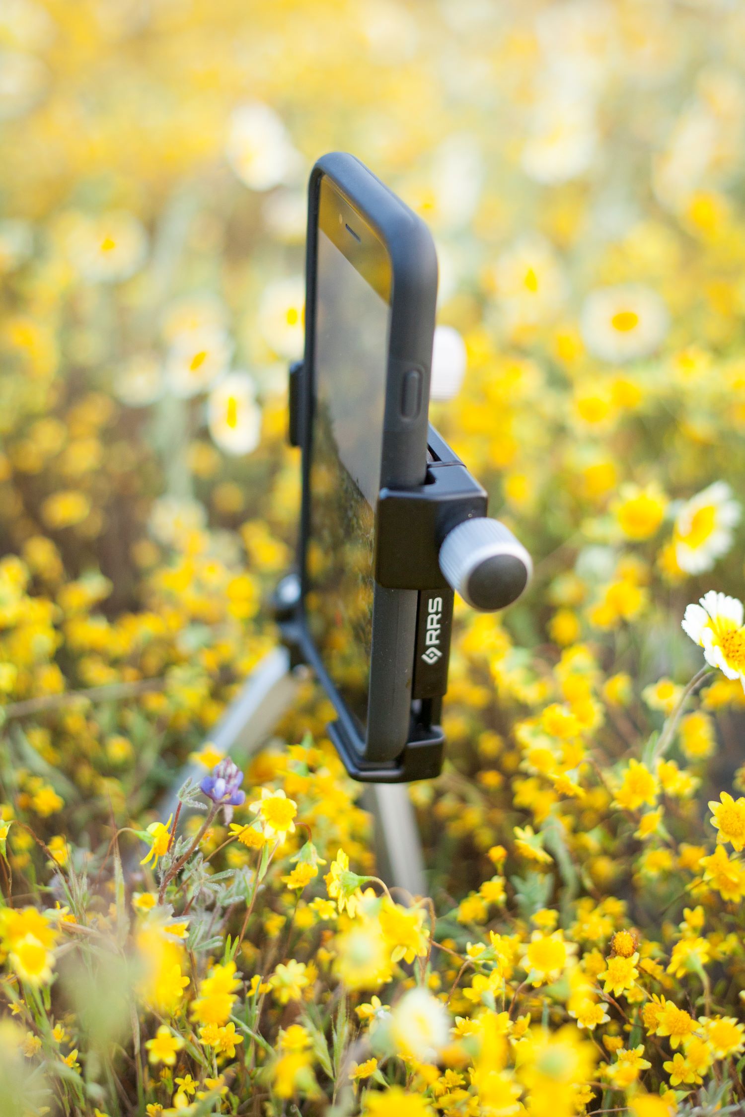 Time-Lapse, Simplified By Jason Rath