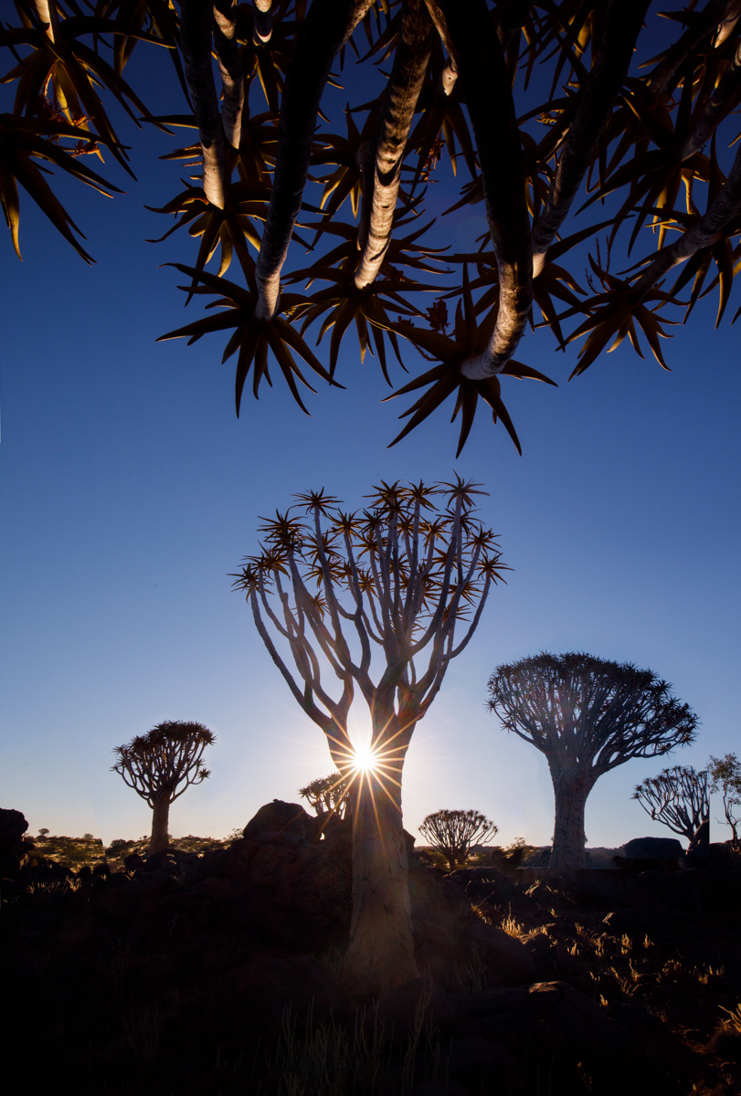 Namibia: A Place of Extremes with Richard Bernabe